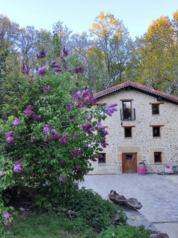 Euskadi – Rous Baltrons